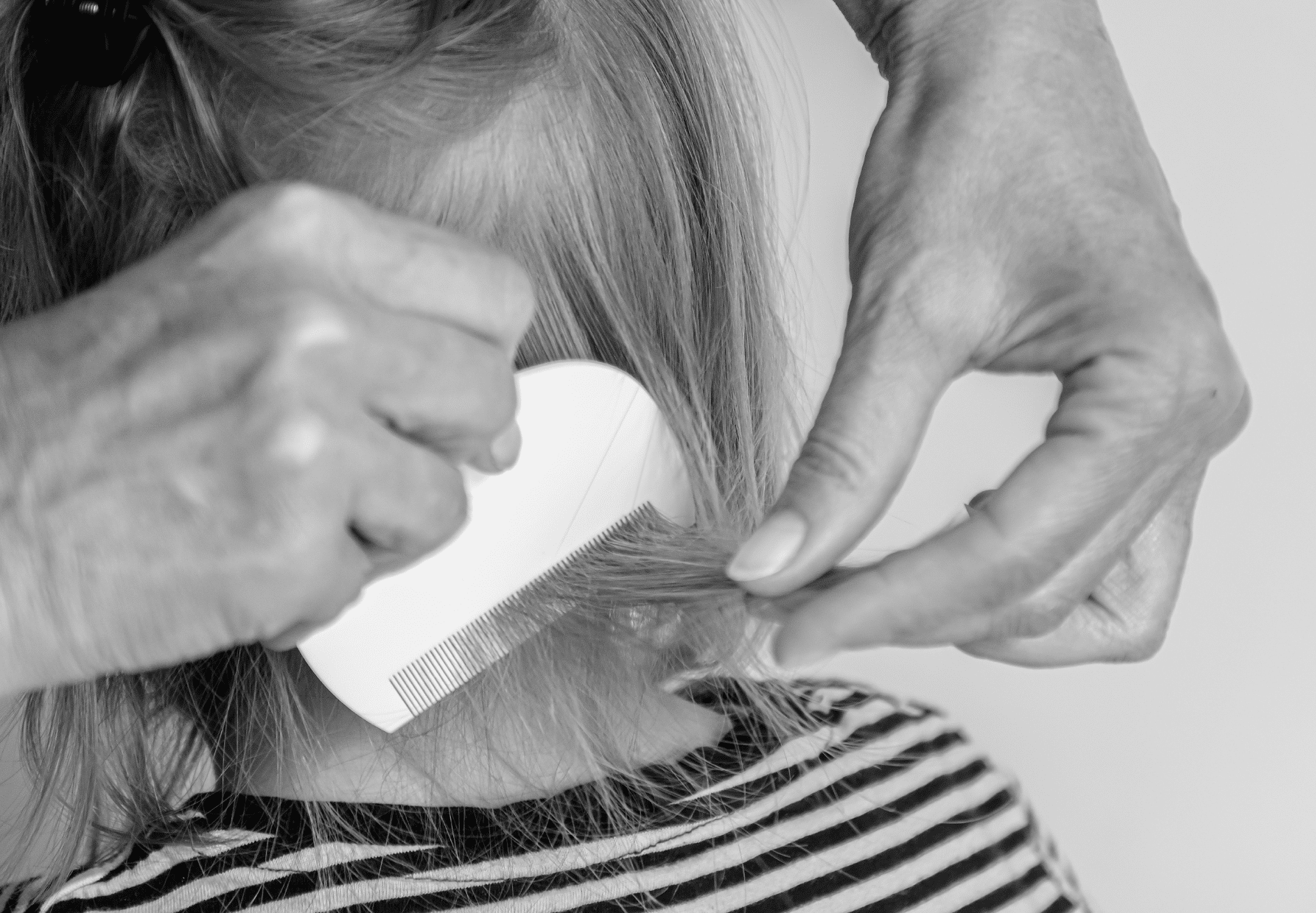 About Head Lice And How To Remove Head Lice And Eggs
